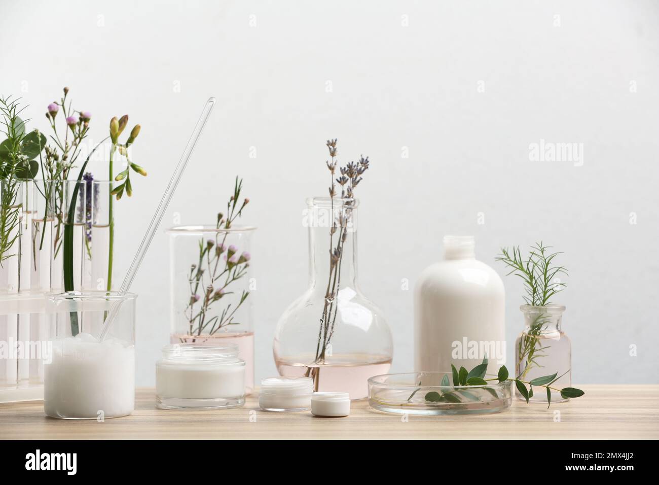 Beauty products ingredients label hi-res stock photography and images ...