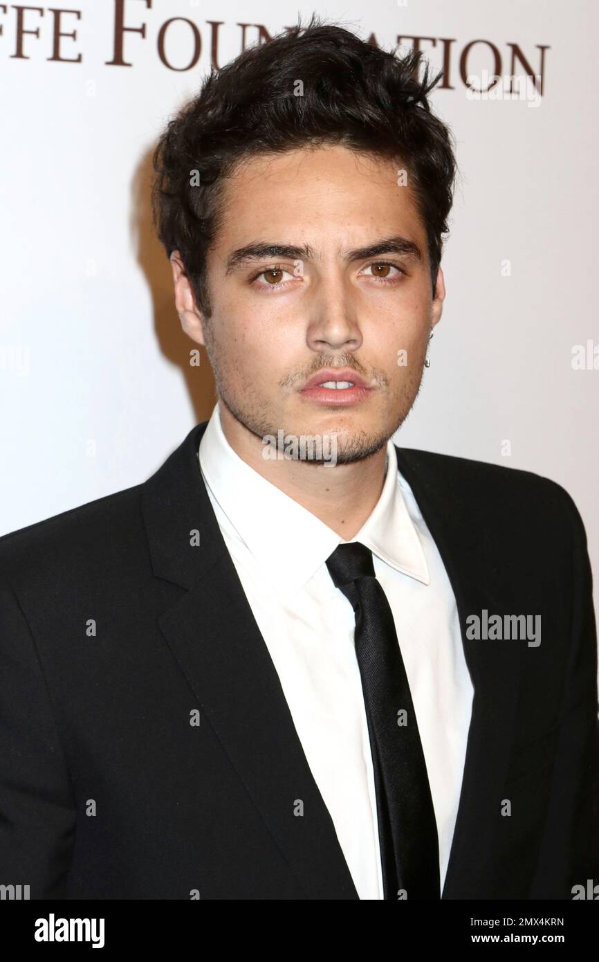 Levi Dylan attends the Elton John AIDS Foundation's 15th Annual An Enduring Vision Benefit at ...