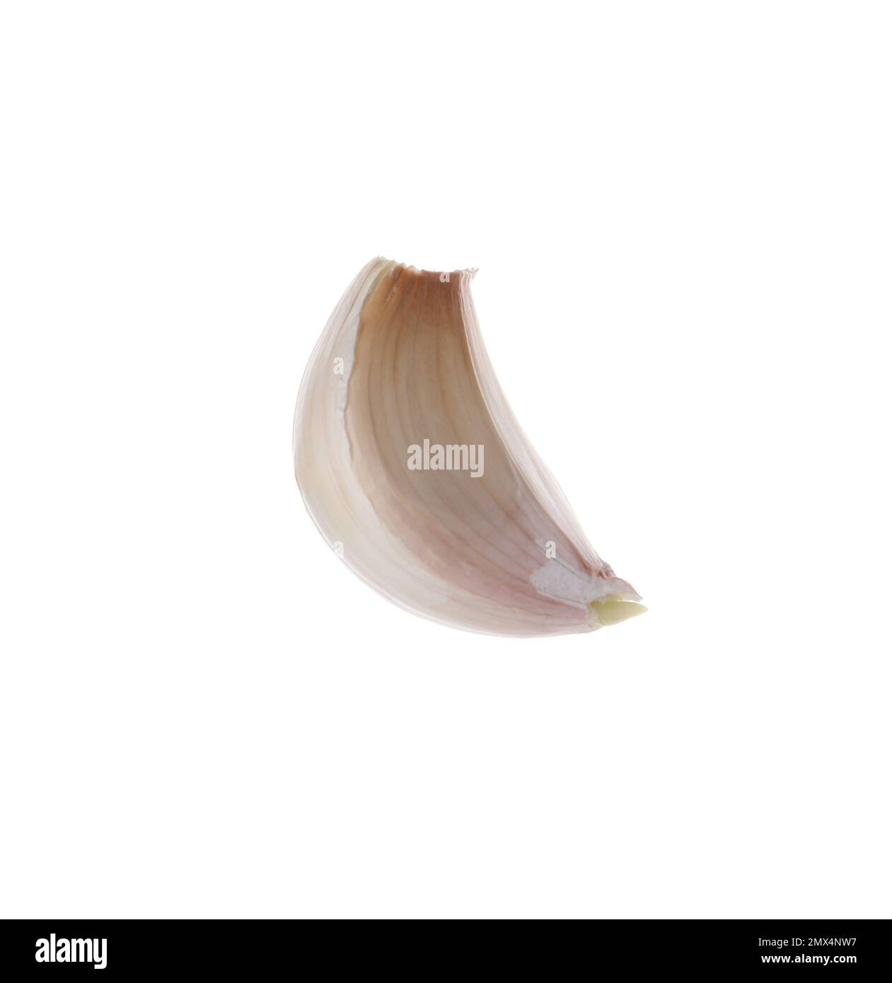 Fresh unpeeled garlic clove isolated on white Stock Photo - Alamy