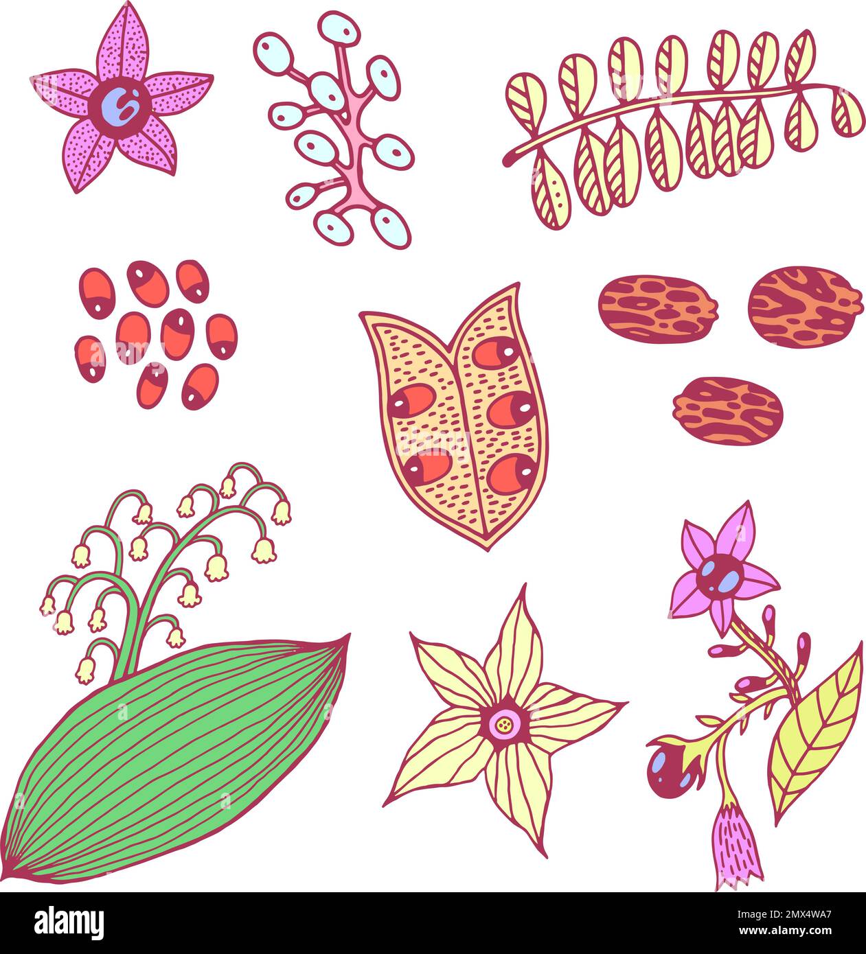 Lilly of the valley garden Stock Vector Images - Alamy