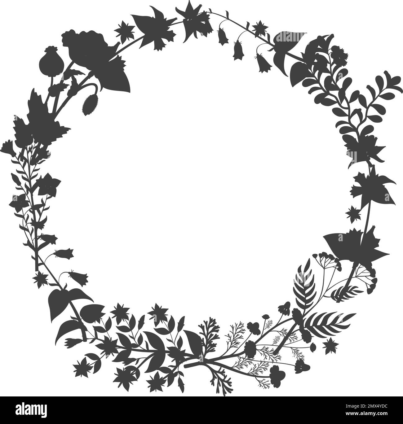 Botanical silhouettes frame. Round herb black wreath Stock Vector Image ...