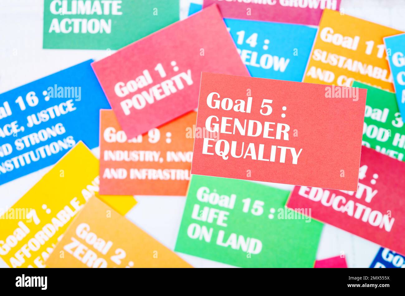 Goal 5 : Gender Equality. The SDGs 17 development goals environment. Environment Development ...