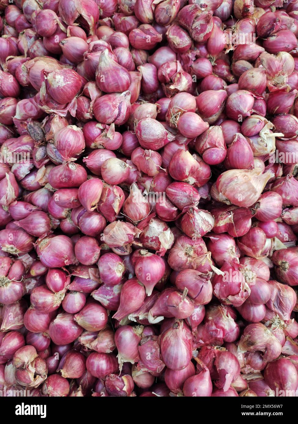pile of red onions in the market. fresh onion background Stock Photo ...