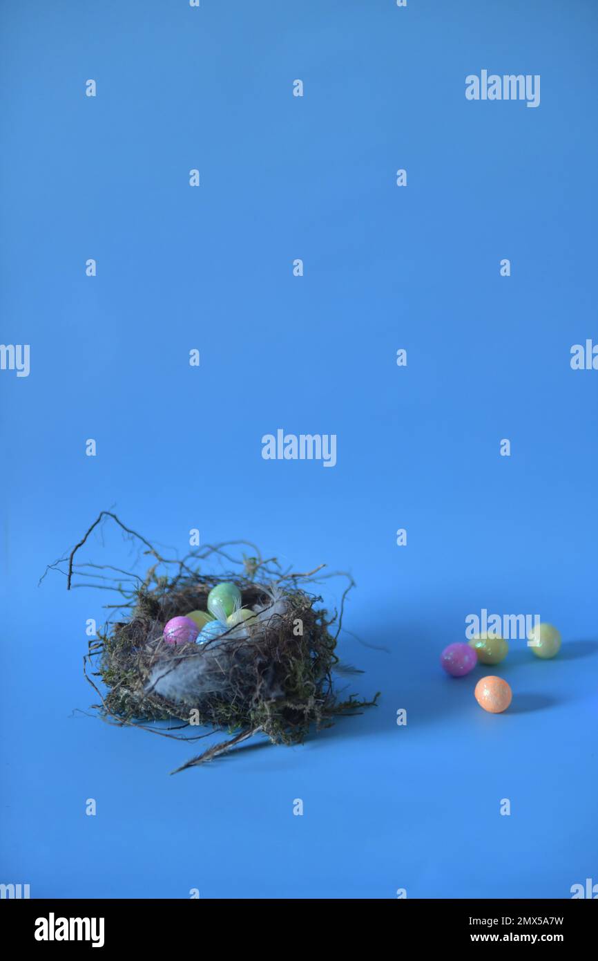 Tiny Easter eggs in nest and on blue surface. Vertical photo with copy space Stock Photo - Alamy