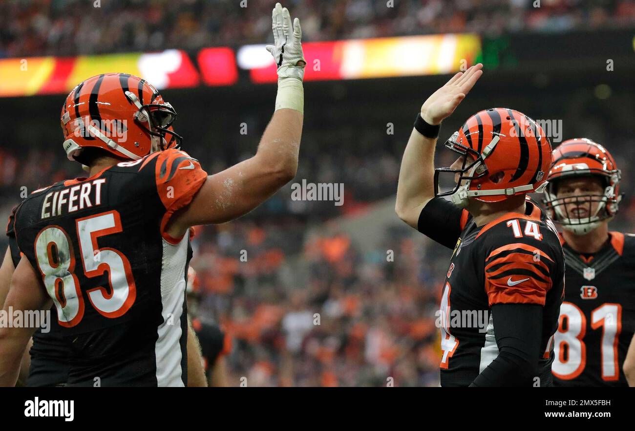 Cincinnati Bengals quarterback Andy Dalton (14) celebrates with ...