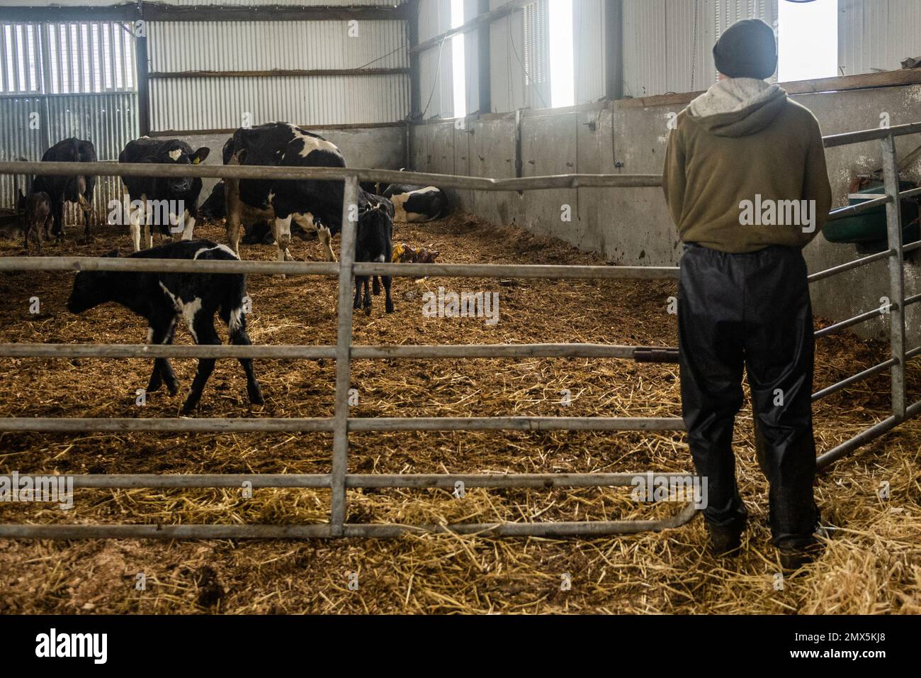 Farmhand ireland hi-res stock photography and images - Alamy