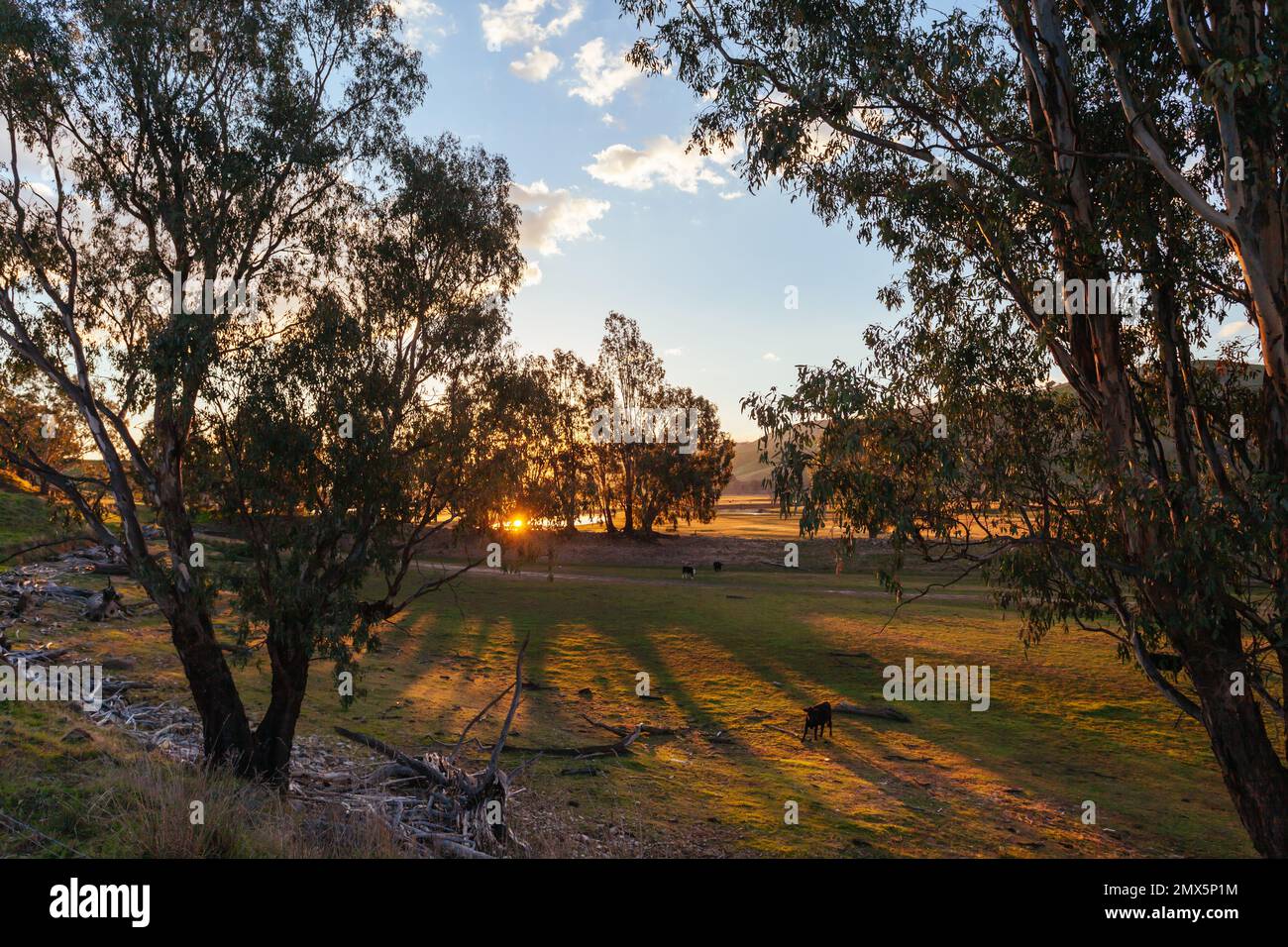 Mitta Valley Lookout in Australia Stock Photo - Alamy Mitta Valley Lookout in Australia Stock Photo - Alamy