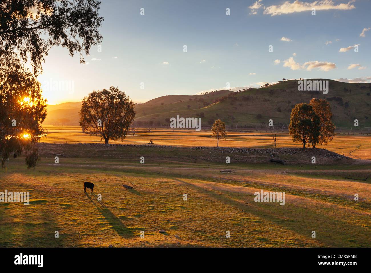 Mitta Valley Lookout in Australia Stock Photo - Alamy Mitta Valley Lookout in Australia Stock Photo - Alamy