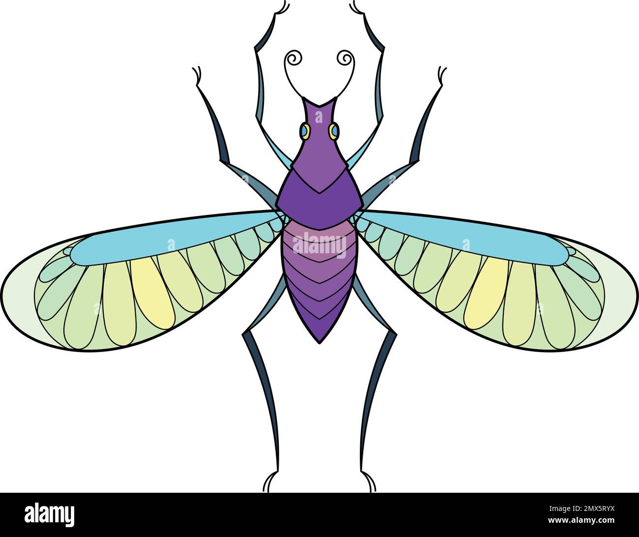 Cicada illustration hi-res stock photography and images - Alamy