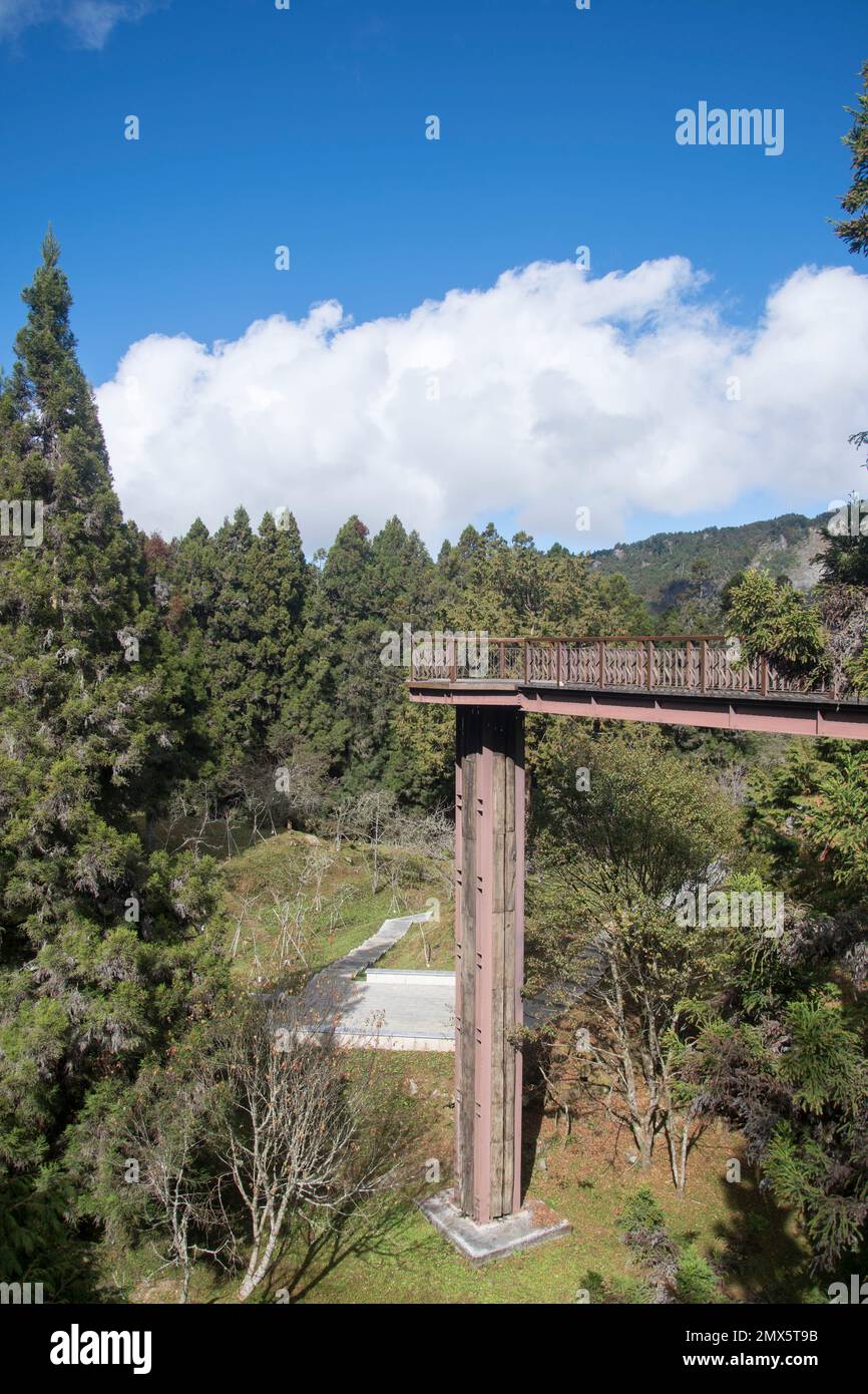 Observation deck and sky walk in the Alishan National Forest Recreation ...