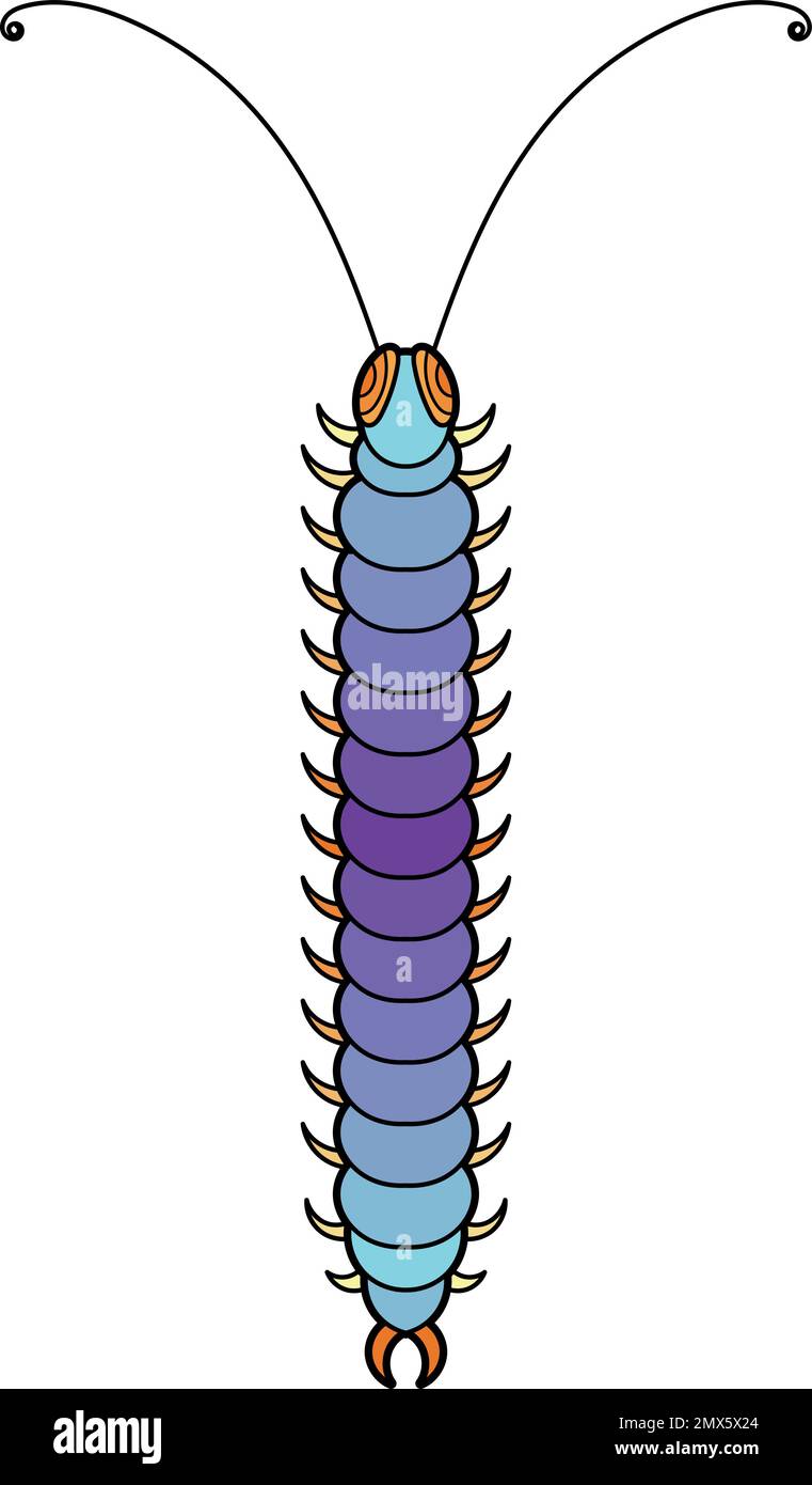 Centipede icon. Color stylized animal. Decorative insect Stock Vector ...