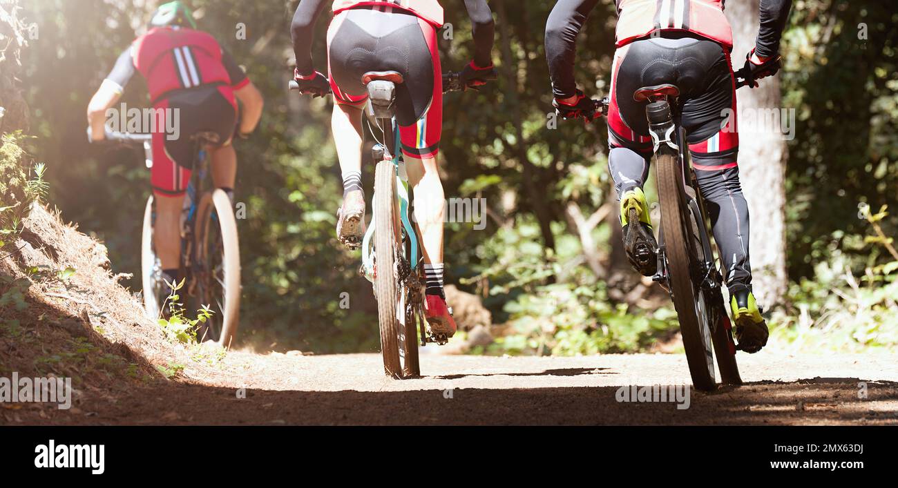 Group of athletes mountain biking on forest trail, mountain bike race ...