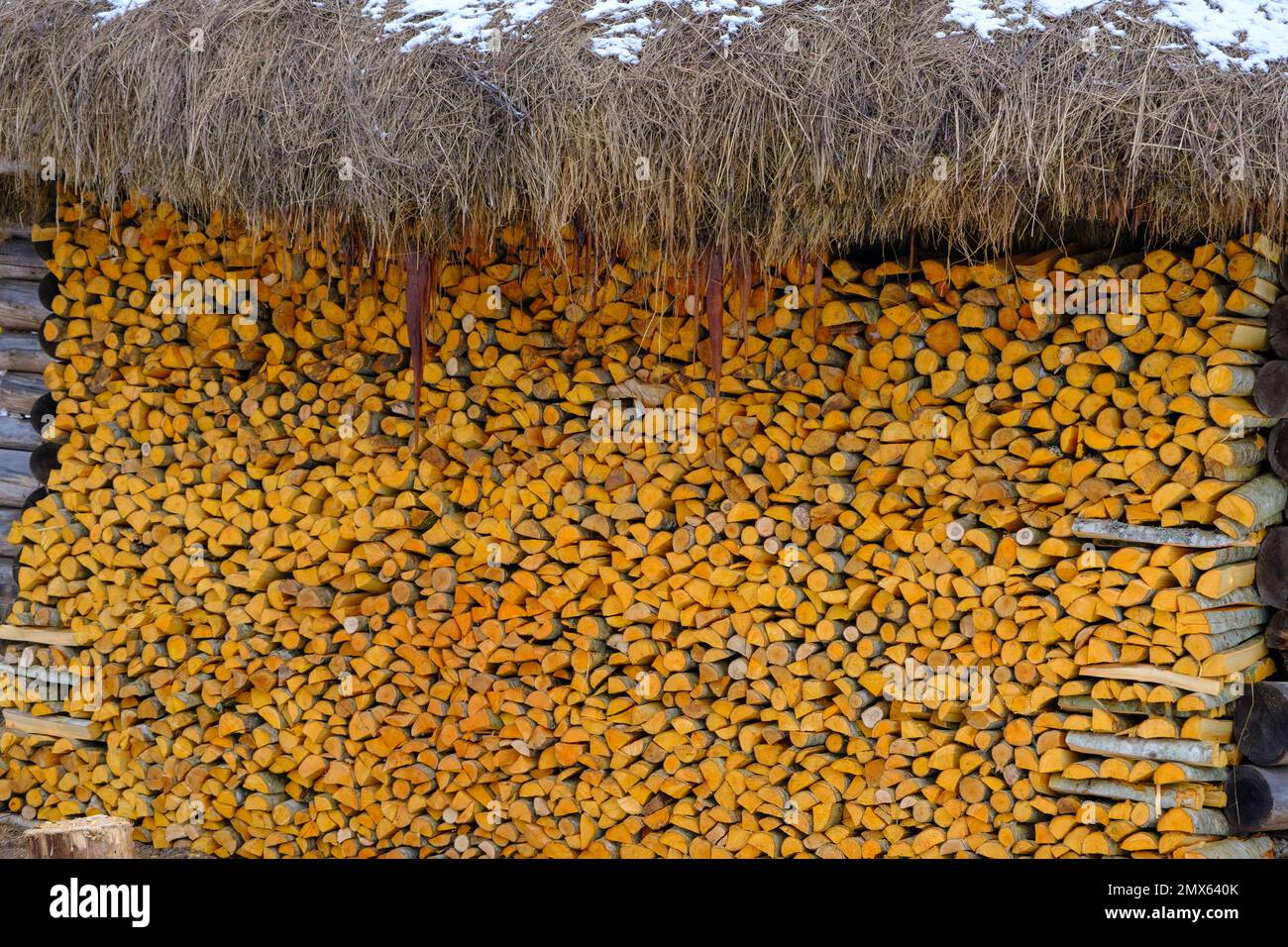 A large amount of split firewood piled up in a large neat stack along ...