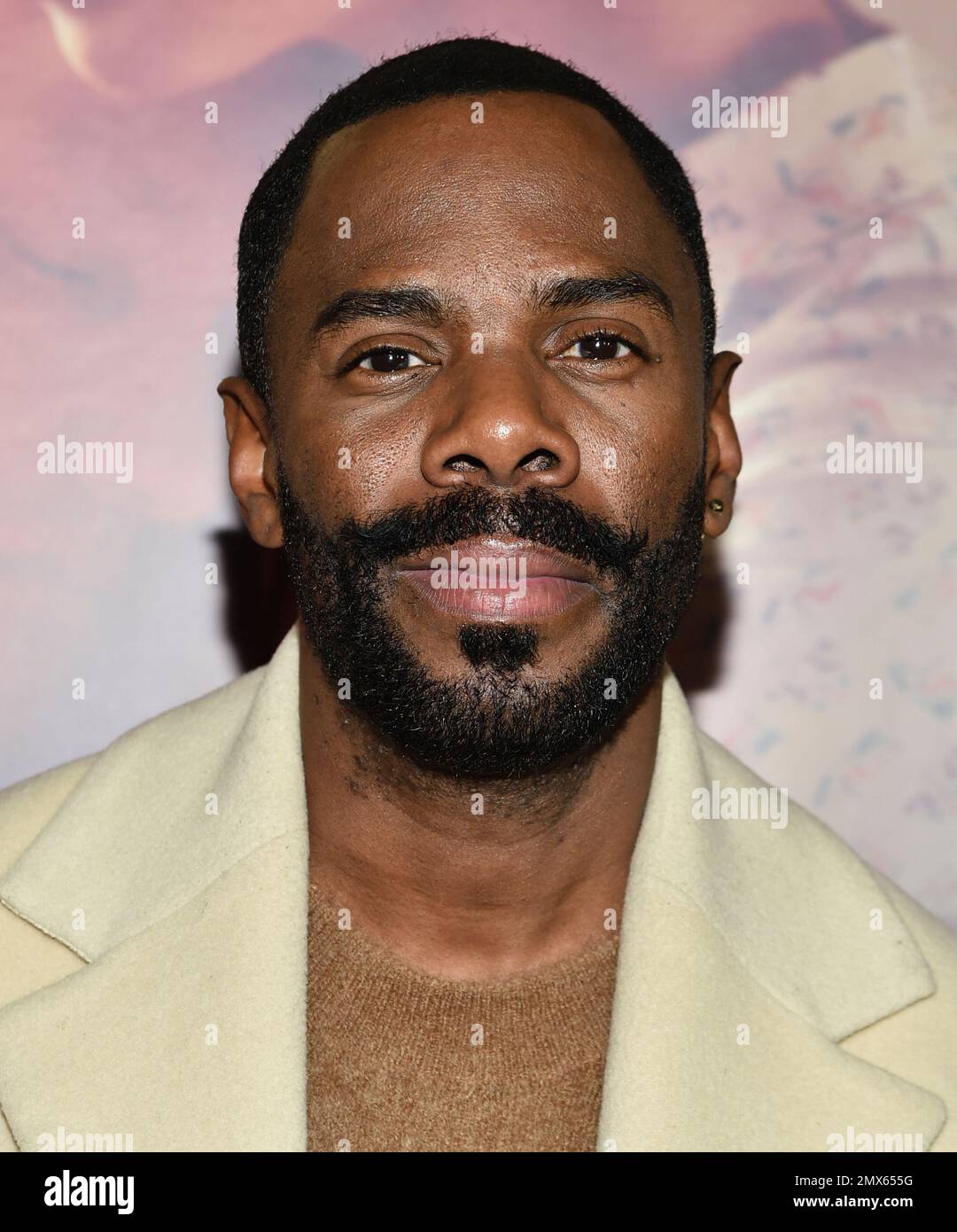 Actor Colman Domingo attends the premiere of "Loving" at the Landmark ...