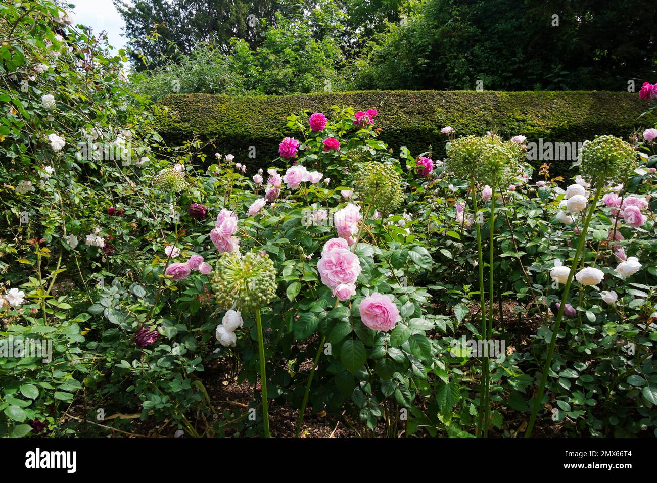 Gard formal hi-res stock photography and images - Alamy