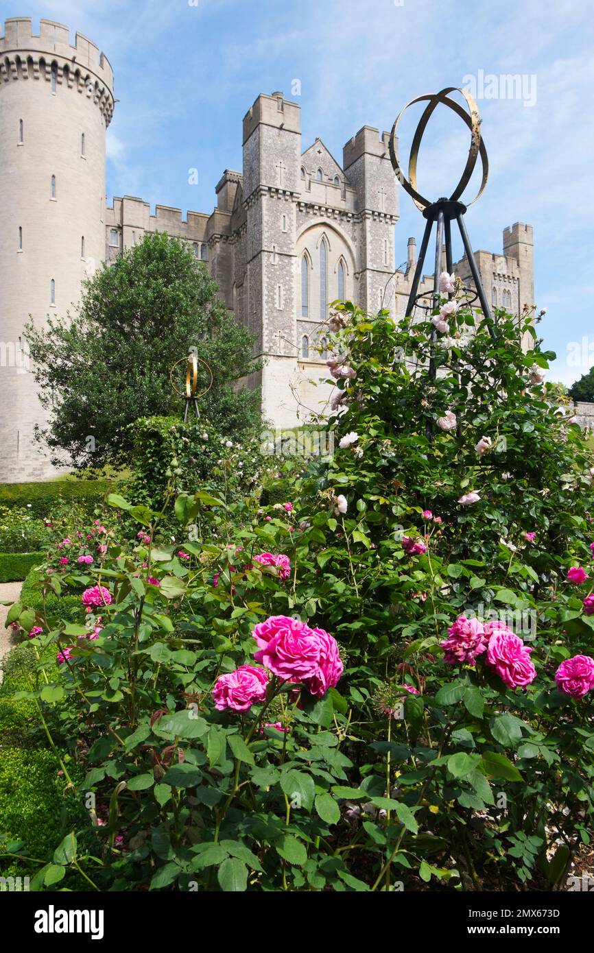 Mme isaac pereire roses hi-res stock photography and images - Alamy