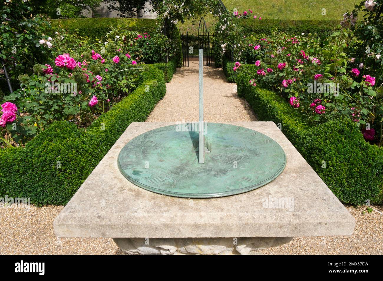 The sundial surrounded by beautiful old fashioned Mme Isaac Péreiré ...