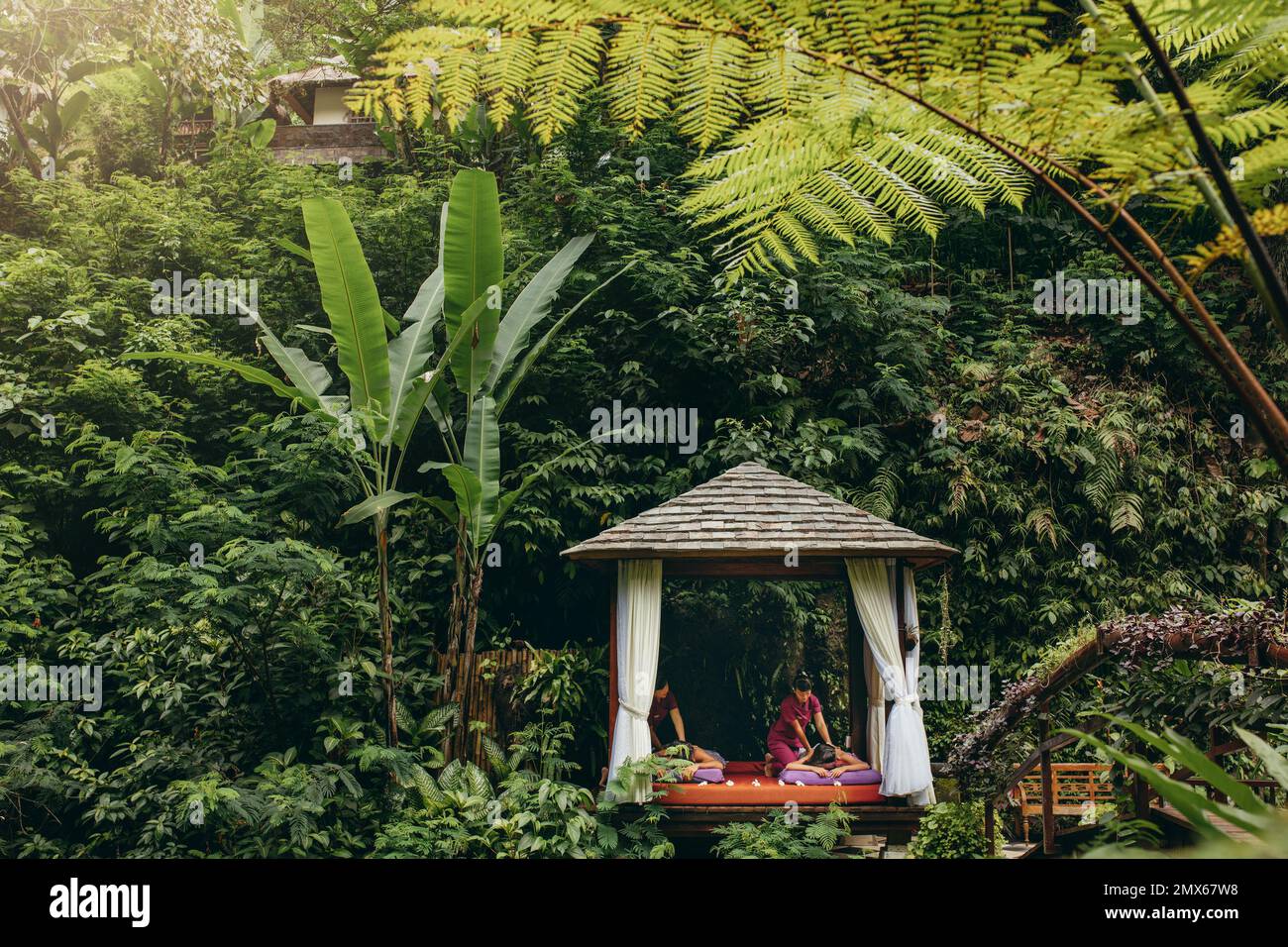 People Having Massage At Spa Resort Surrounded By Trees Outdoor Spa