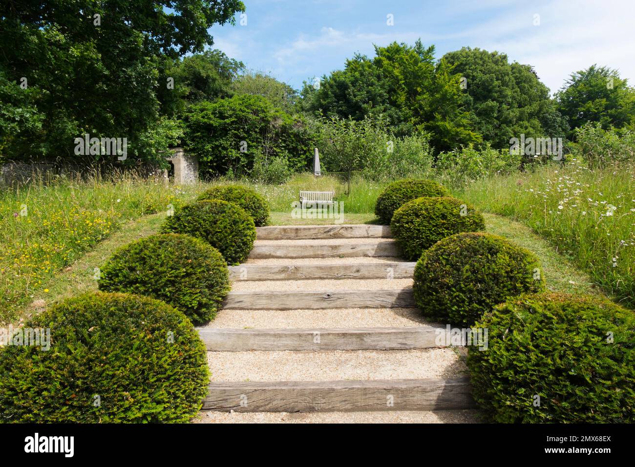 Neatly clipped Box balls leading up to a wooden seat in the grounds at ...