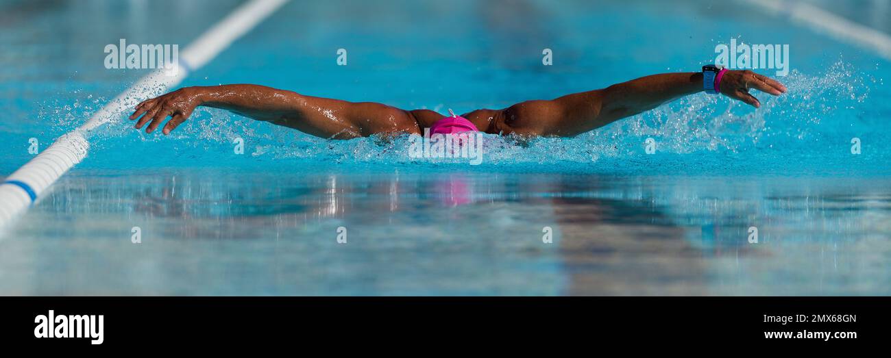 Swim competition swimmer athlete doing butterfly stroke in swimming ...