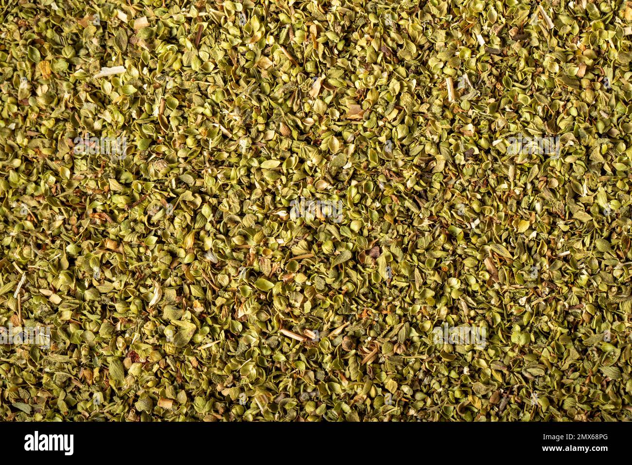 Dried Thyme spice for food background. Dry spice concept. Top view ...