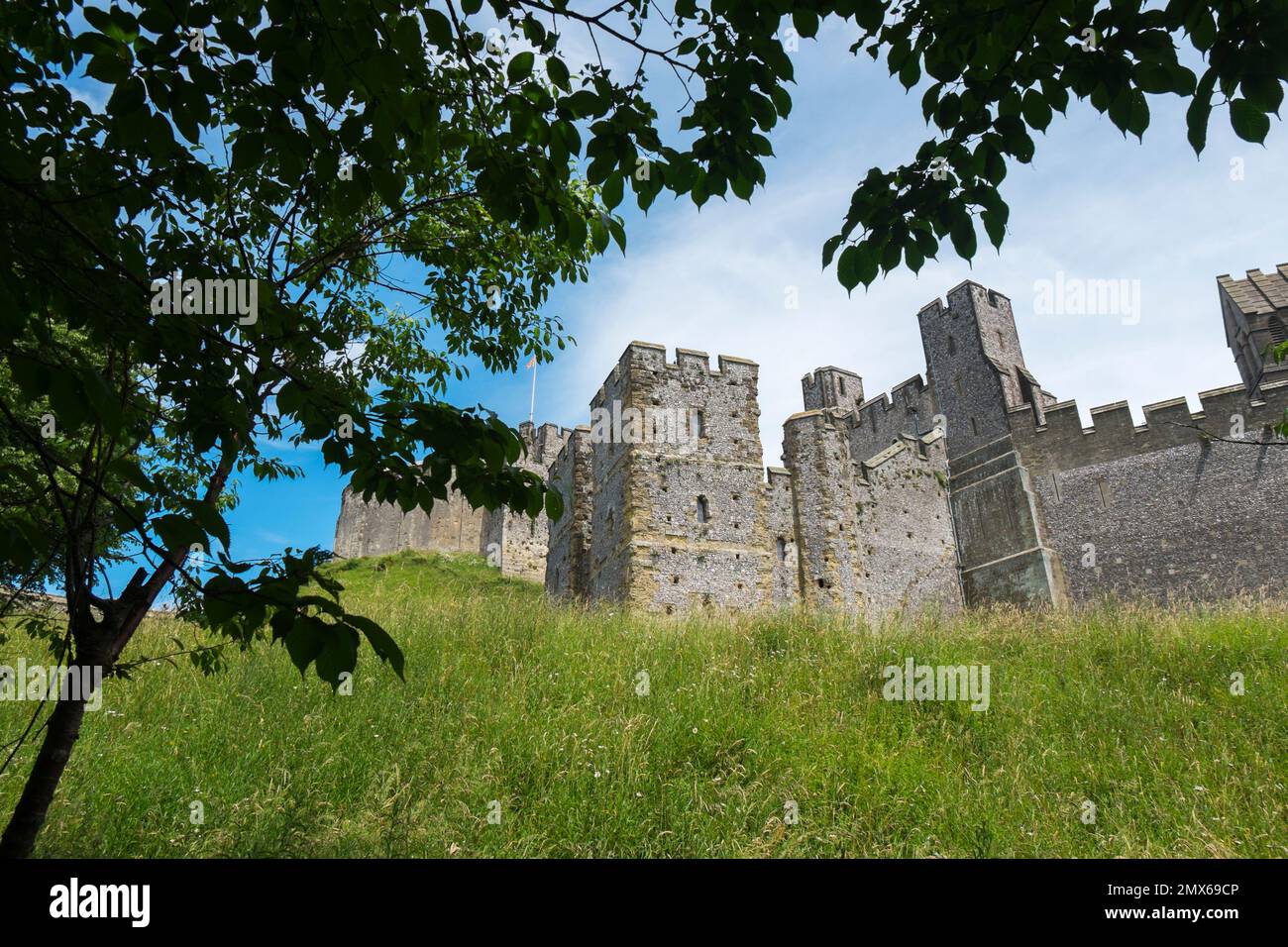 Grass has been left to grow long and wild in some areas of the grounds ...
