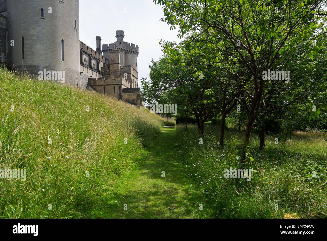 Grass has been left to grow long and wild in some areas of the grounds ...