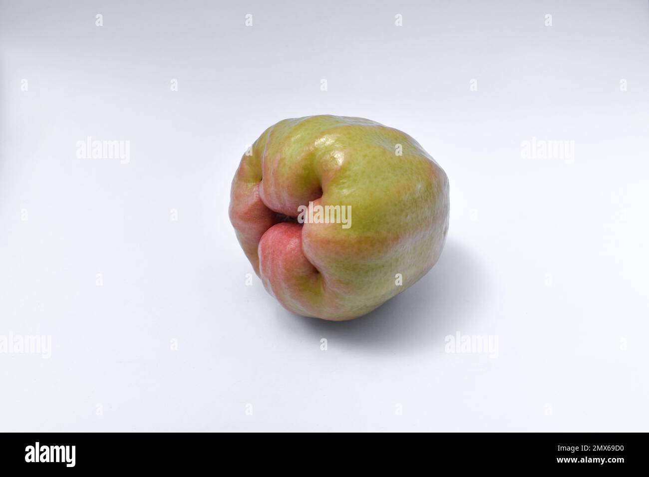Fresh rose apples or chomphu isolated on white background Stock Photo ...