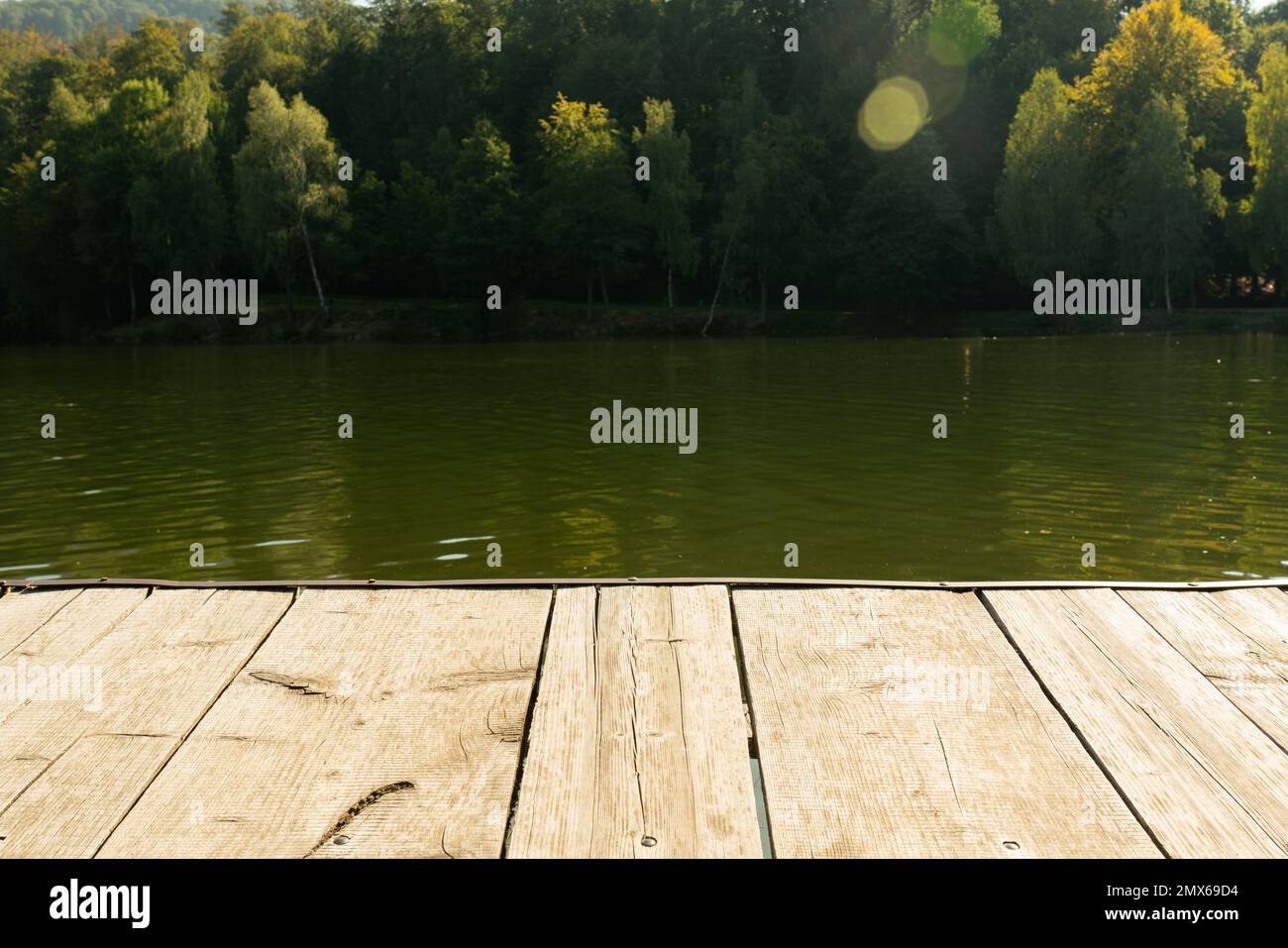 Close-up of wooden waterside dock near lake with green summer forest ...