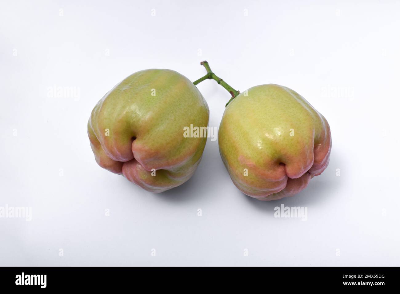 Fresh rose apples or chomphu isolated on white background Stock Photo ...