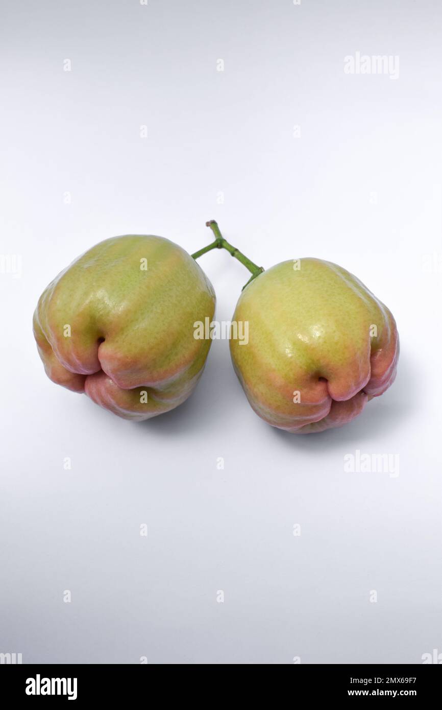 Fresh rose apples or chomphu isolated on white background Stock Photo ...