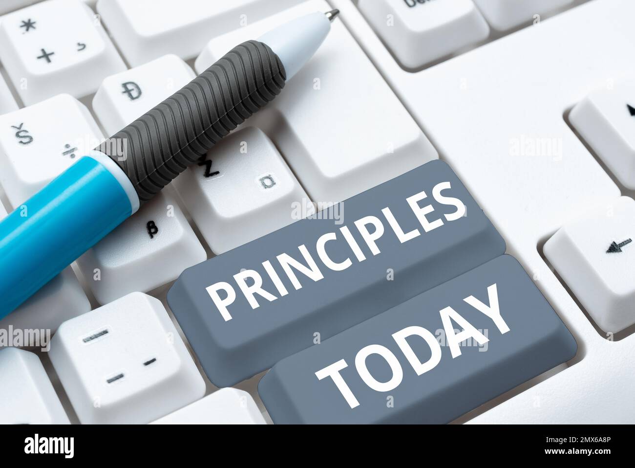 Writing displaying text Principles. Business concept fundamental truth ...