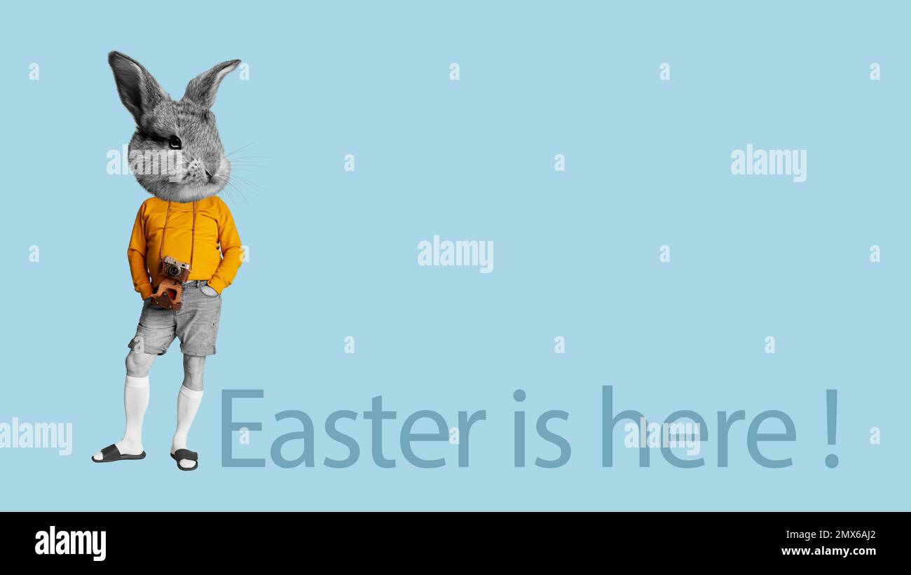 Bunny head on human body with vintage camera. Creative design over blue ...