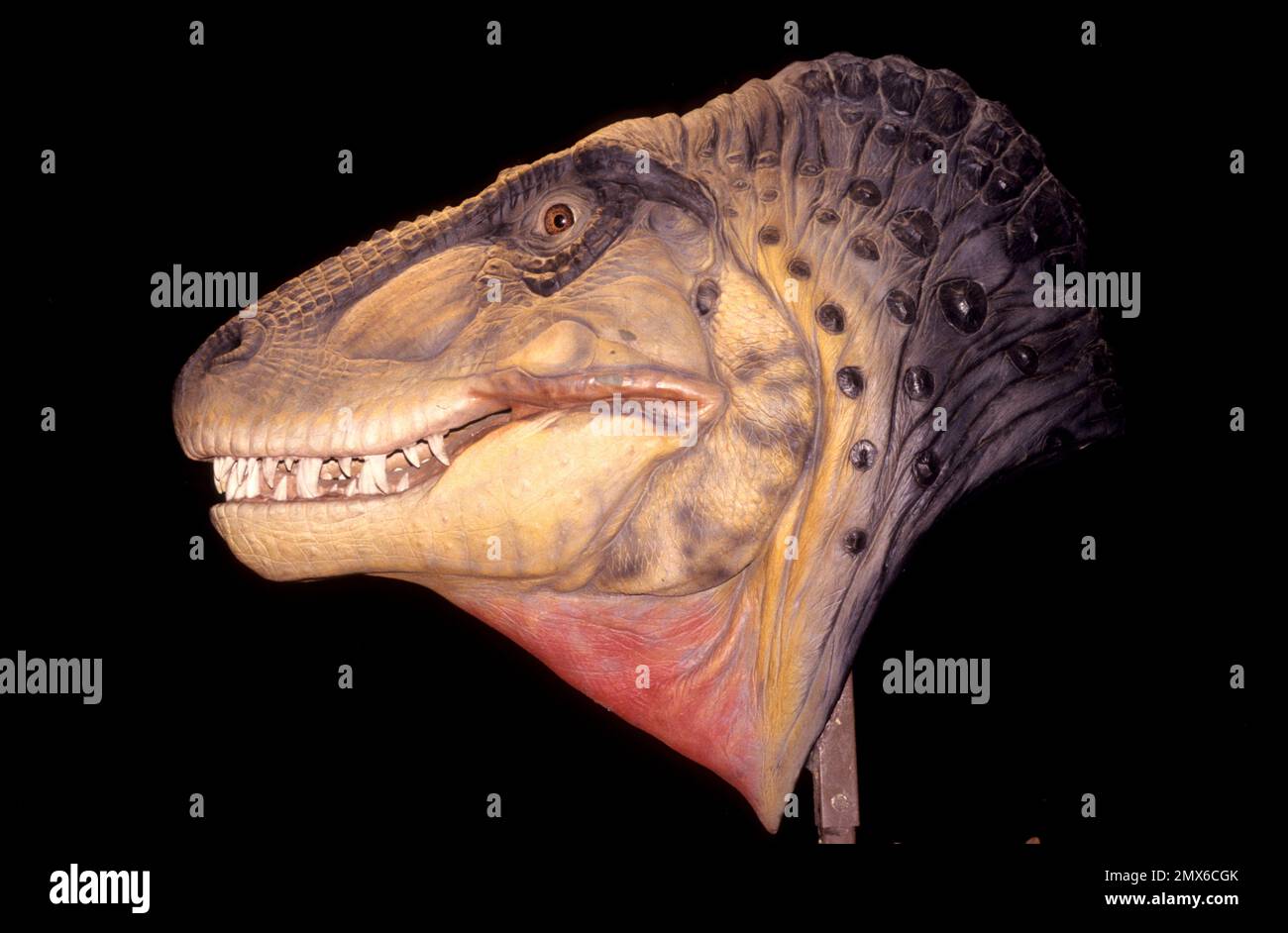 Life sized animatronic dinosaurs by American company Dinamation Corp on ...