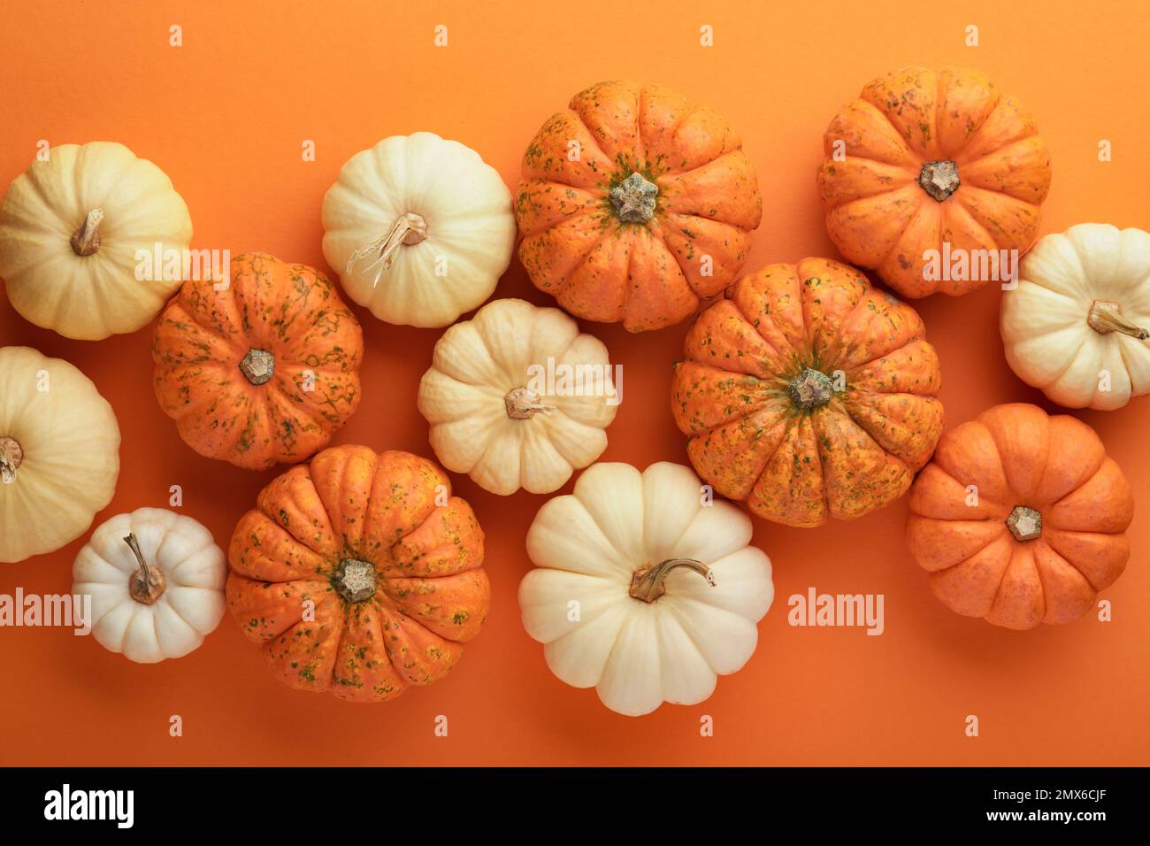 Halloween background. Flock of black bats, spider, pumpkin, and leaves ...