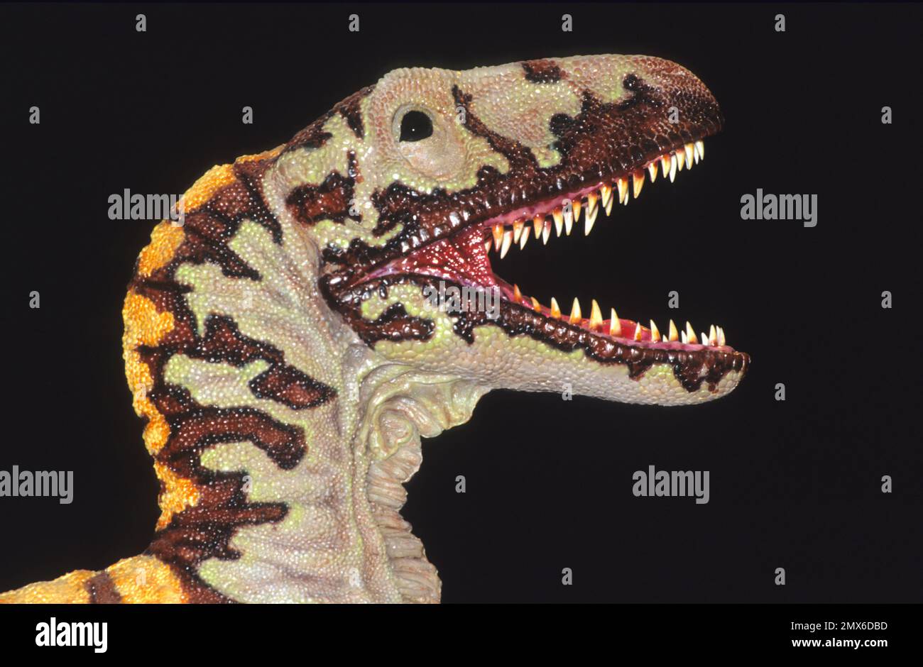 Life sized animatronic dinosaurs by American company Dinamation Corp on ...