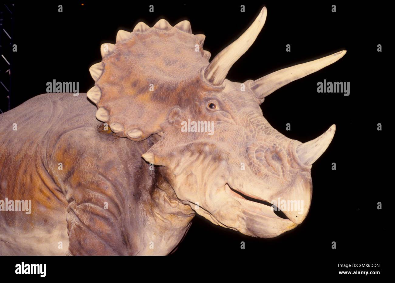 Life sized animatronic dinosaurs by American company Dinamation Corp on ...