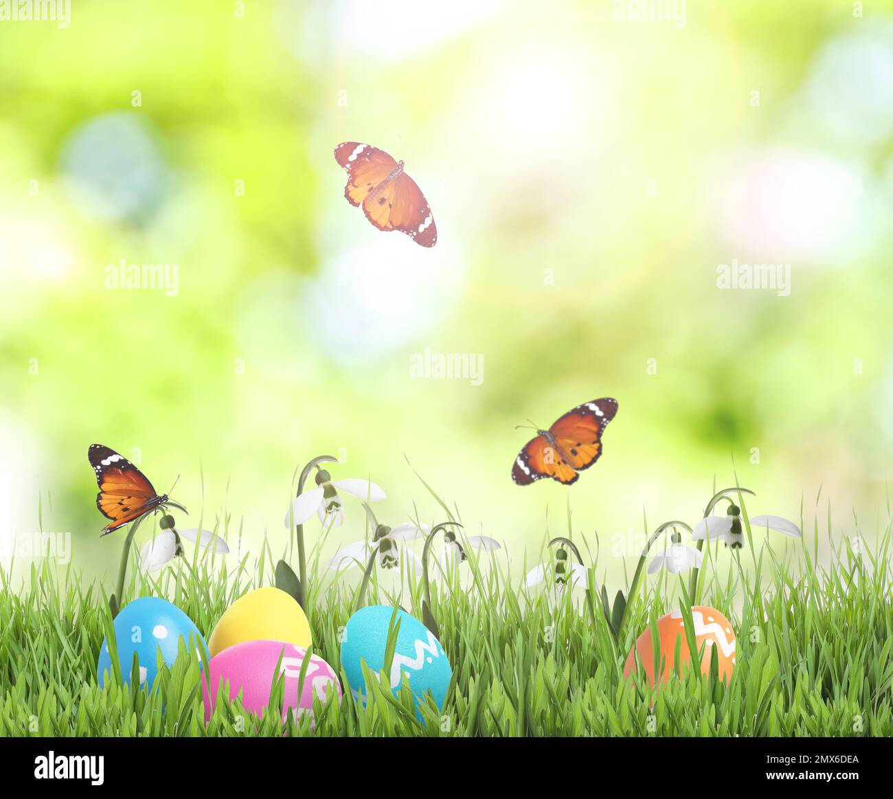 Colorful Easter eggs with flowers in green grass and butterflies on ...