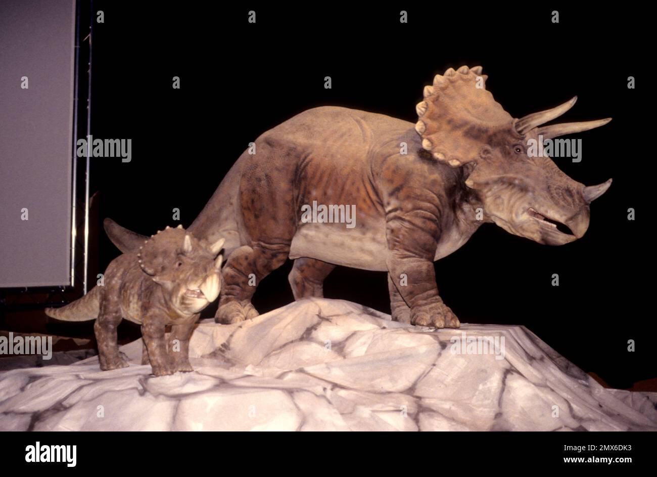 Life sized animatronic dinosaurs by American company Dinamation Corp on ...