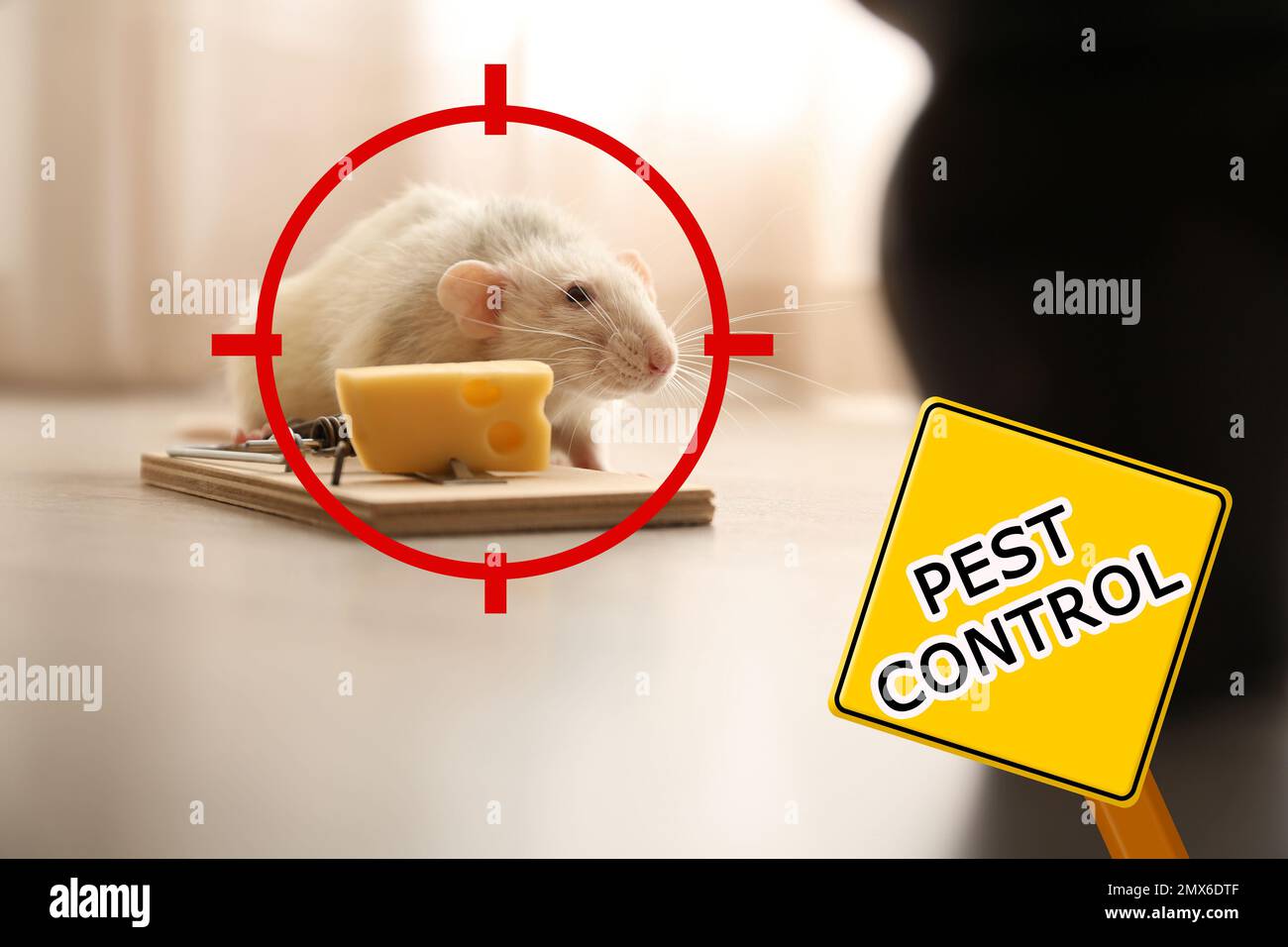 Gun target on rat near mousetrap with cheese indoors and warning sign ...