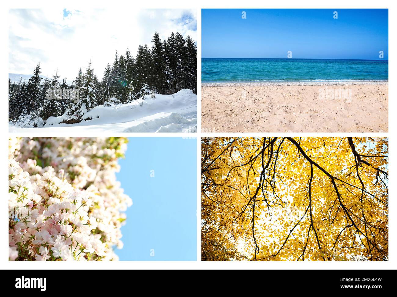Beautiful photos of nature. Four seasons collage Stock Photo - Alamy