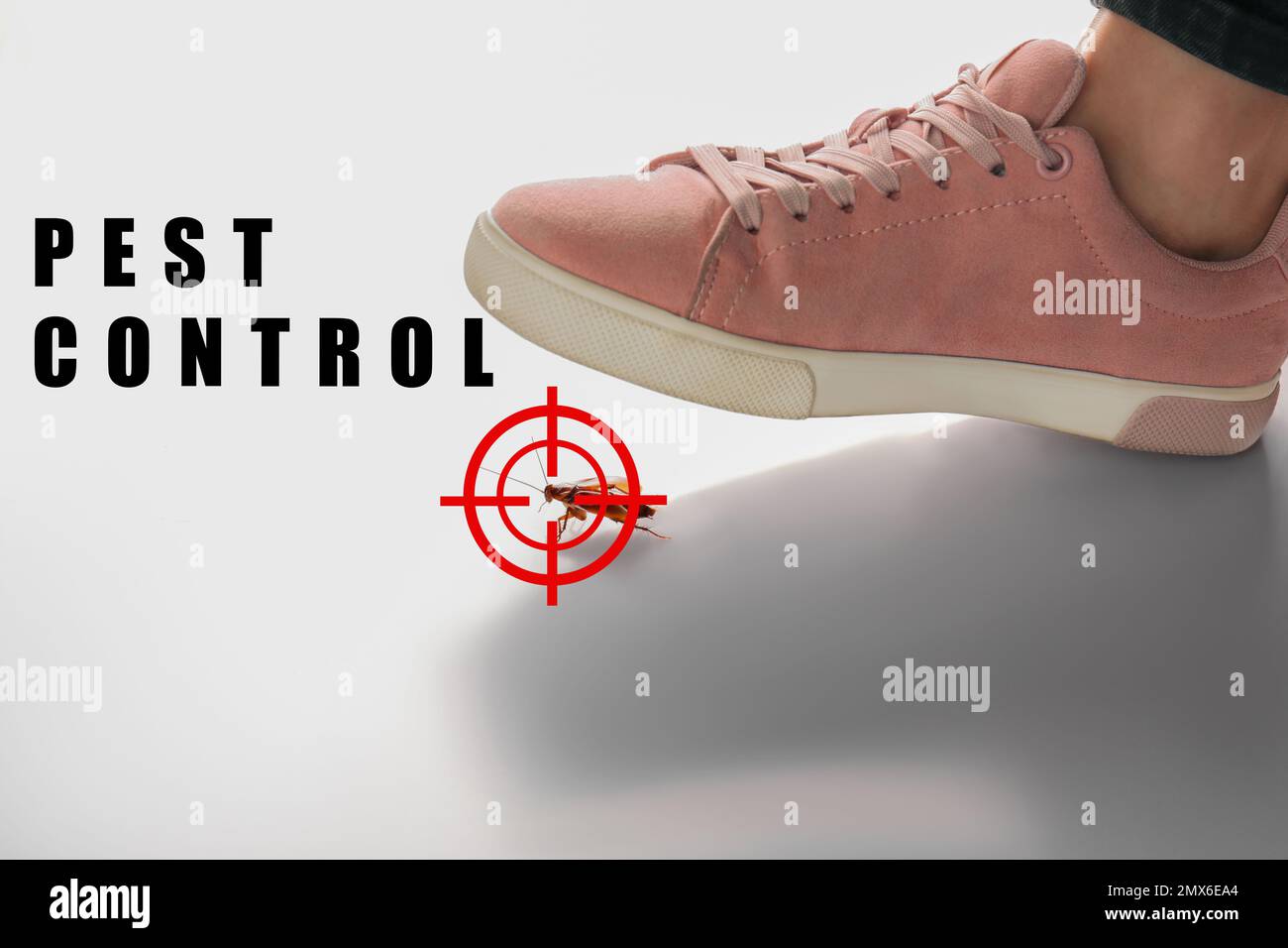 Woman crushing cockroach with feet on white background, closeup. Pest ...