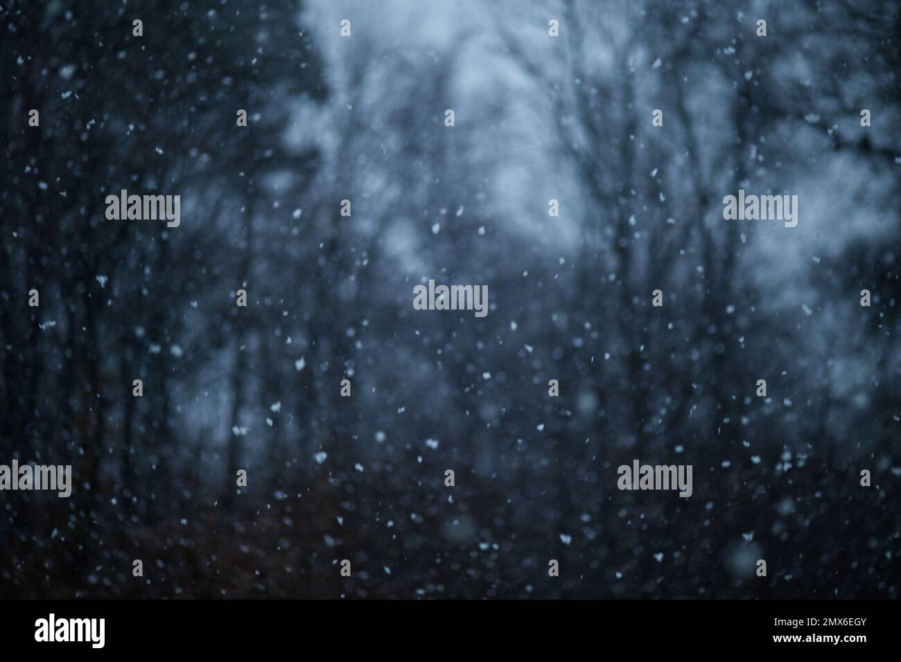 Snow flurry with falling snow in the foreground and a blurred ...