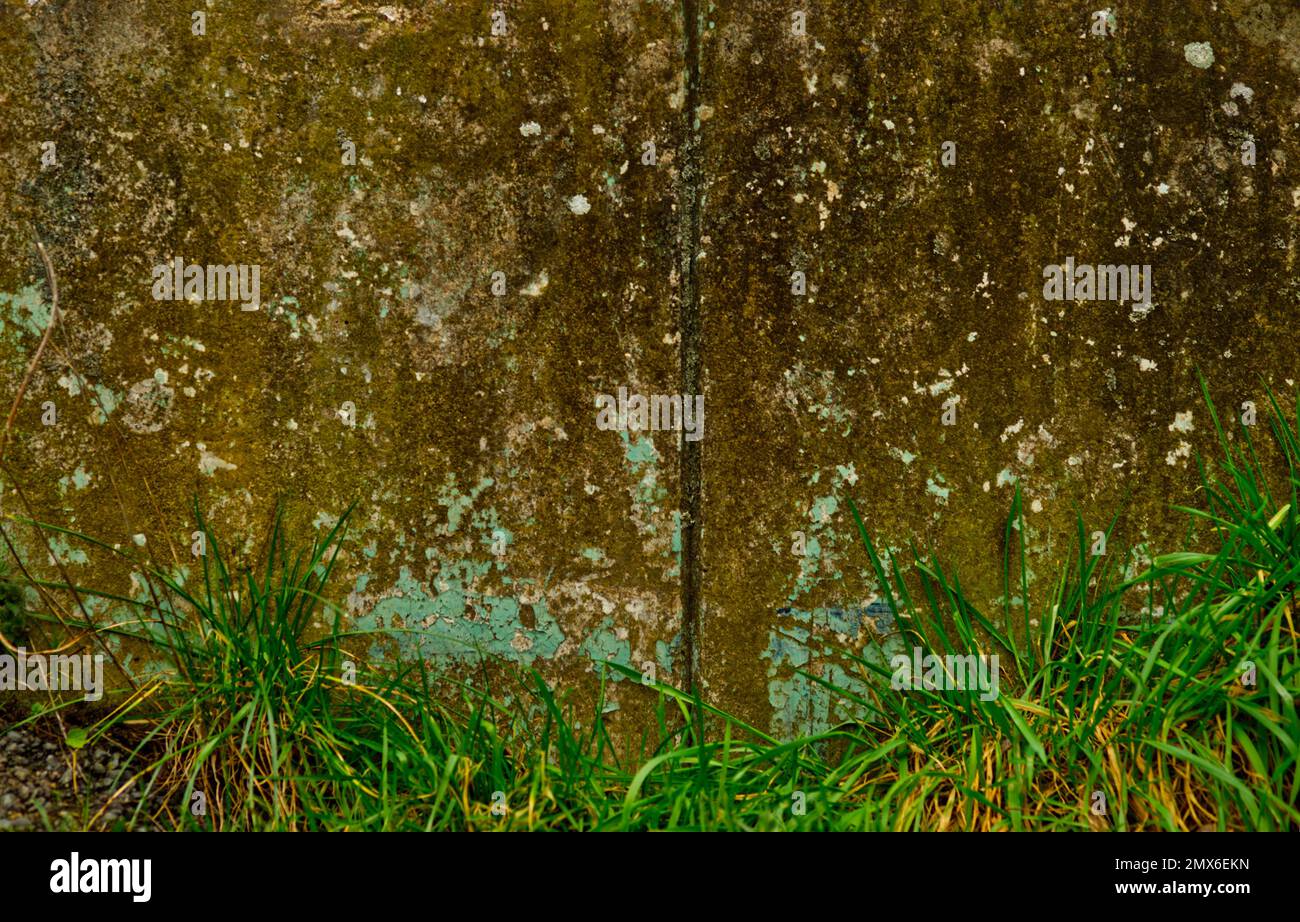 Details of the surface of a heavily weathered concrete wall with some relics of light green ...