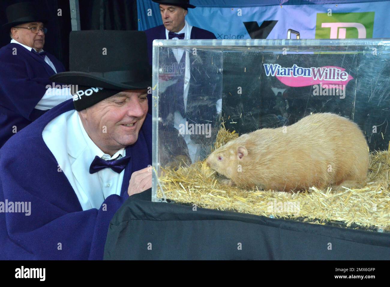 South Bruce Peninsula Mayor Garry Michi looks at Wiarton Willie in a ...
