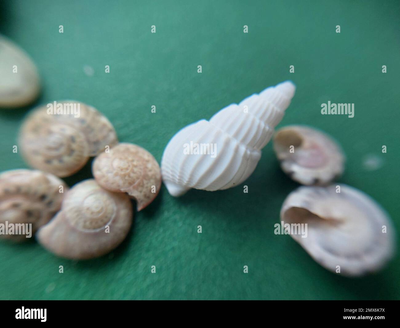 Variety colors hi-res stock photography and images - Alamy