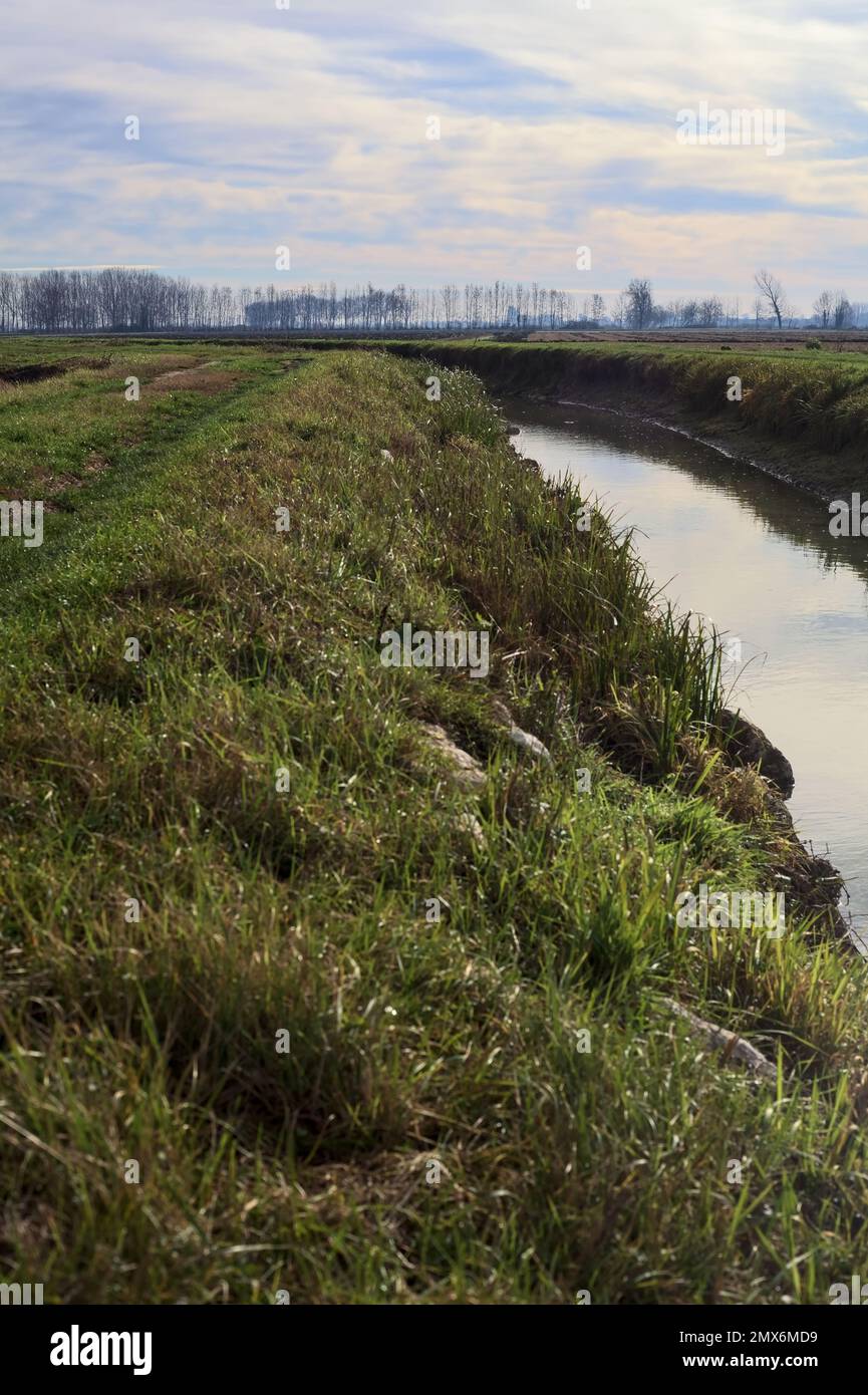 Path between cultivated fields and bordered by streams of water in the ...