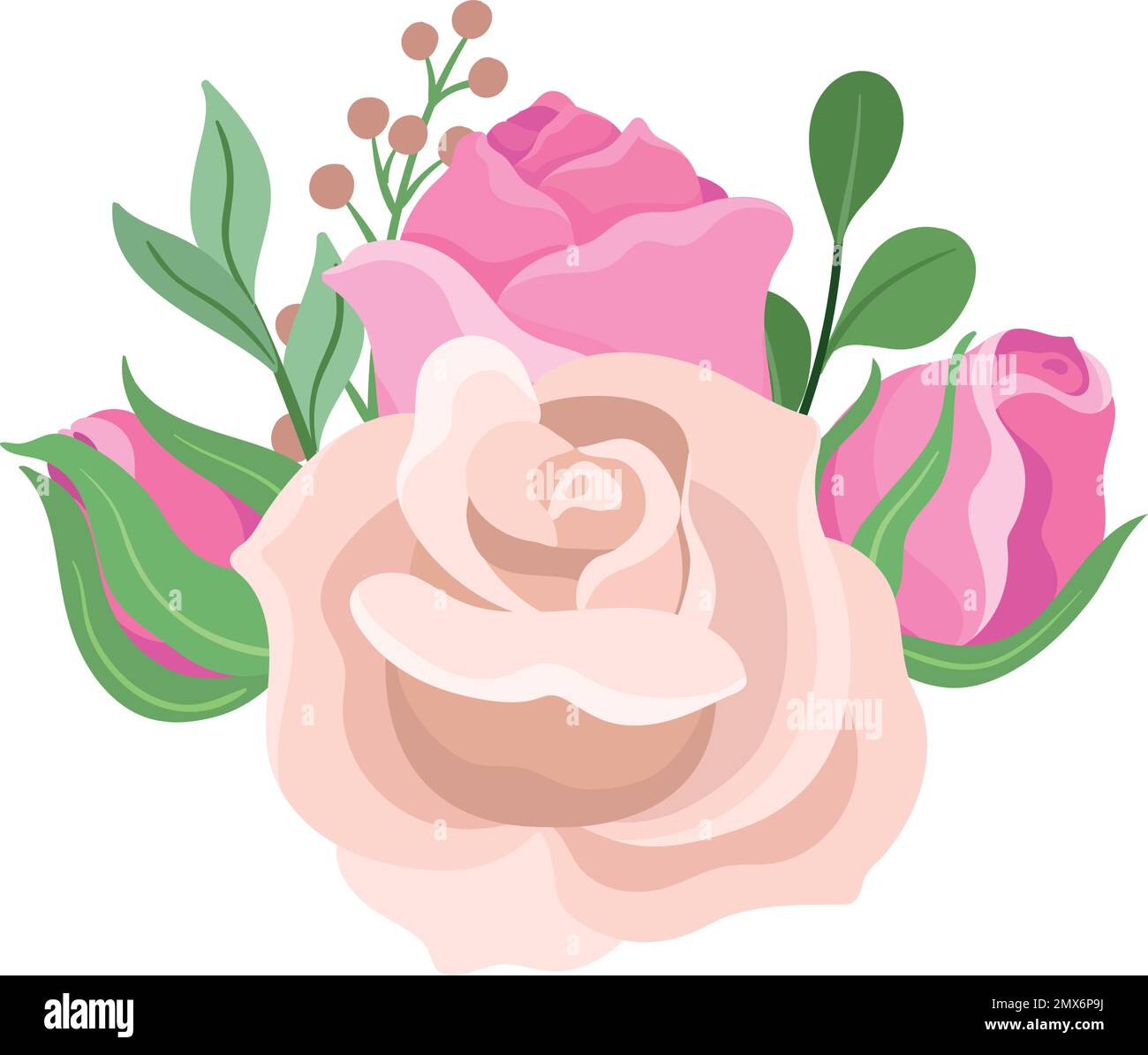 Blush white roses Stock Vector Images - Alamy