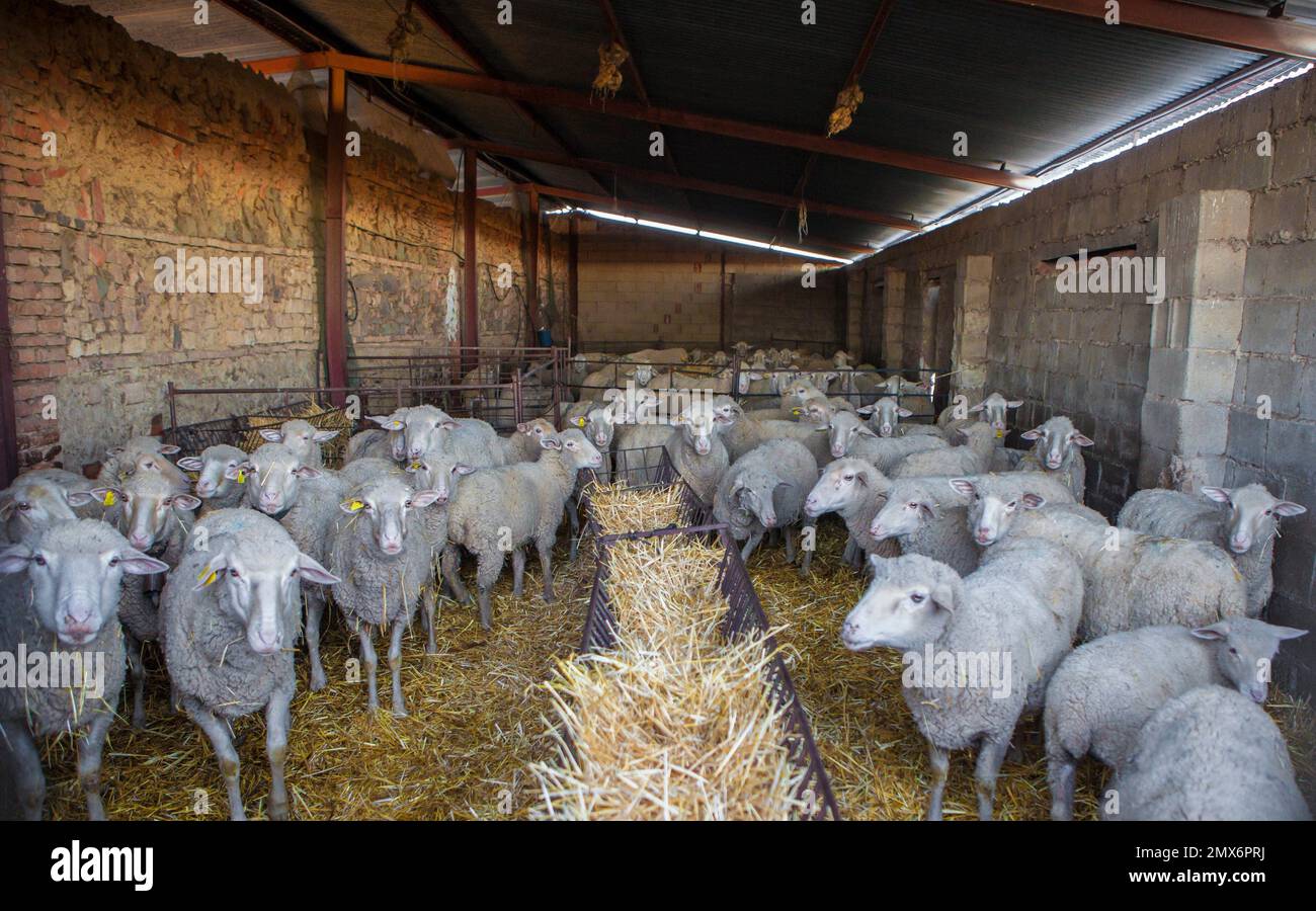 Rustic stable interior hi-res stock photography and images - Alamy