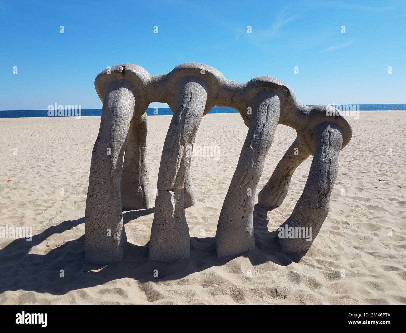 Rib cage bone hi-res stock photography and images - Alamy